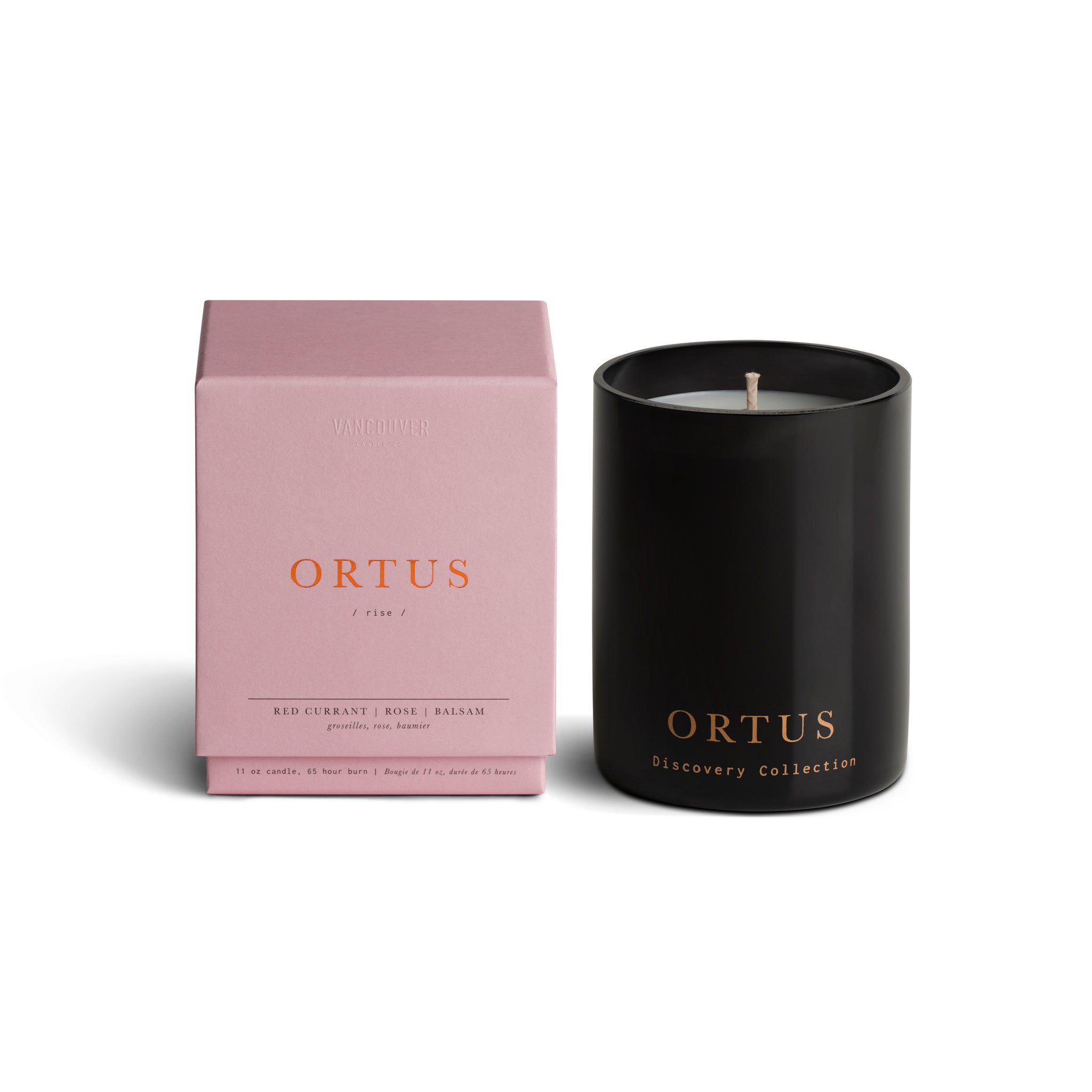 ORTUS (RISE)